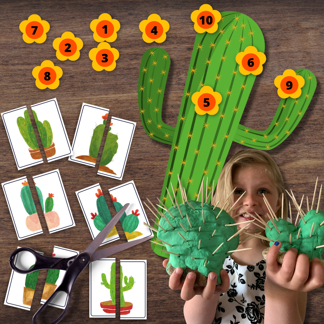 CACTUS Counting Fine Motor Activity Cacti Matching Cards Preschool Kin ...