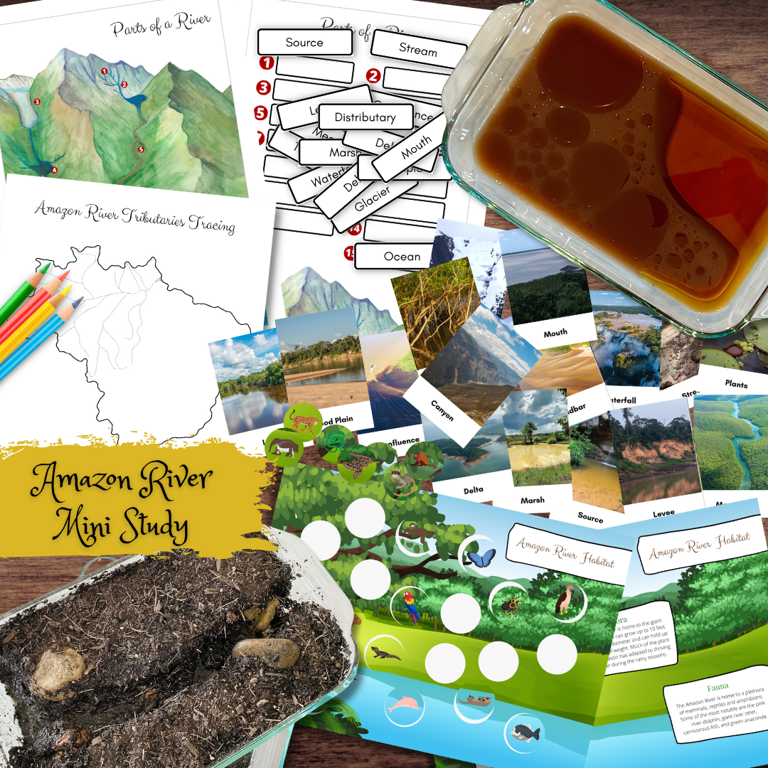 AMAZON River Study Labeling Tributaries Habitat Animals Features & Exp ...