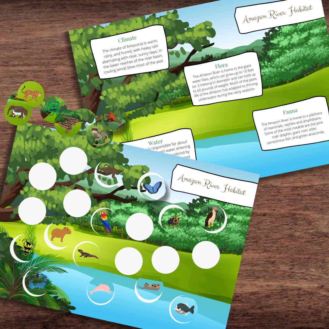 AMAZON River Study Labeling Tributaries Habitat Animals Features & Exp ...