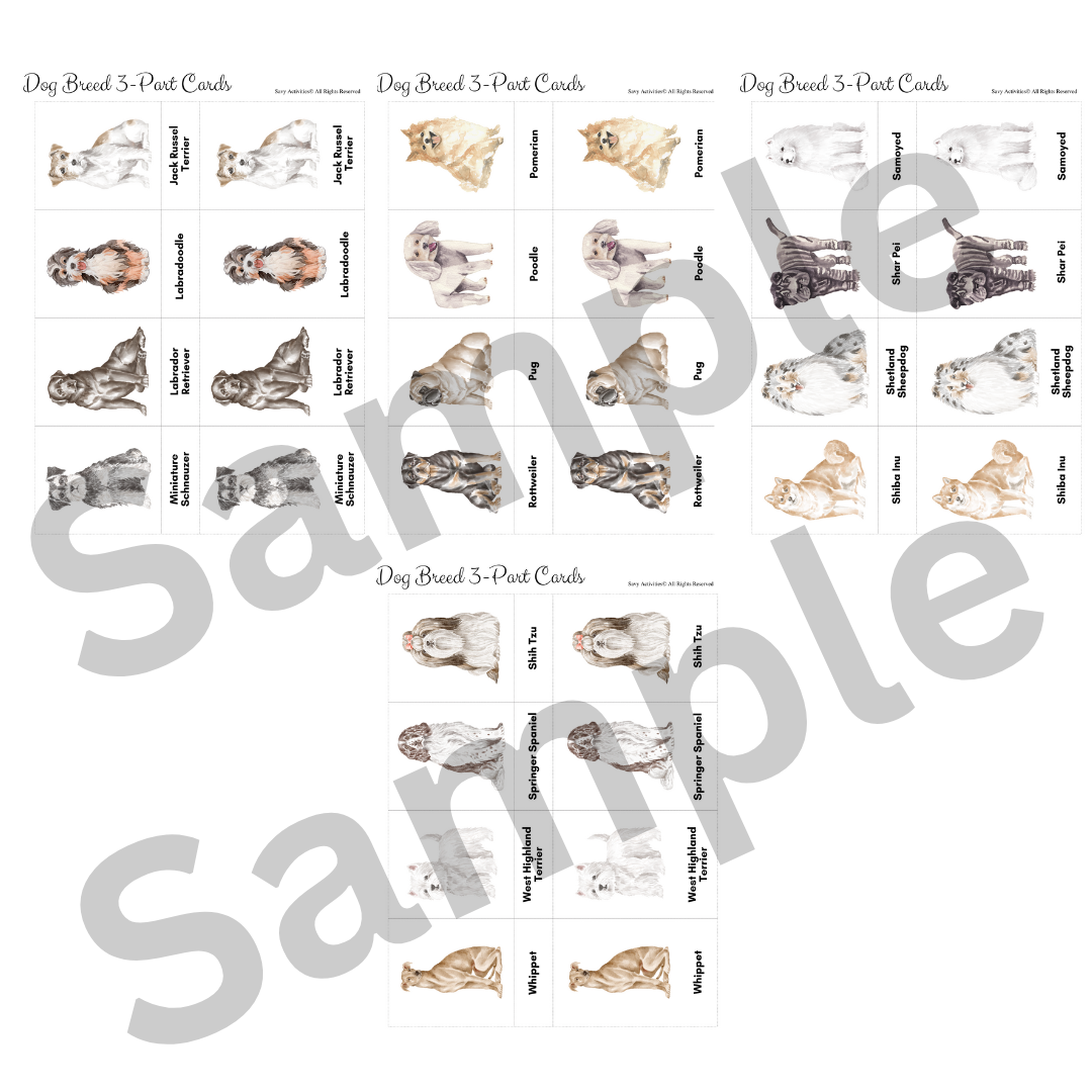 Montessori-Inspired DOG BREEDS Canine Watercolor 3-Part Cards *40 Bree ...