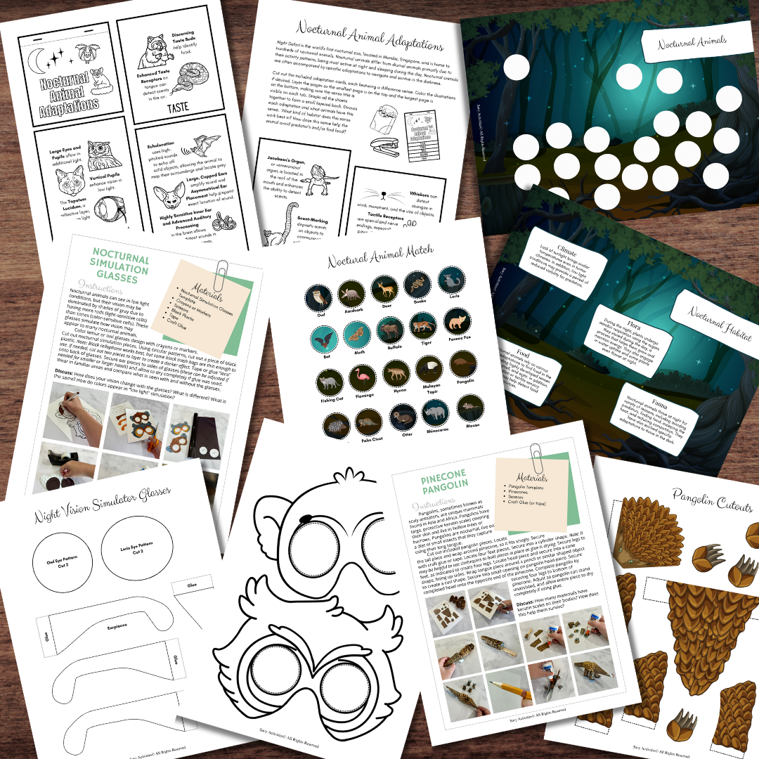 NOCTURNAL Animal Study Flip-Book, Matching Puzzle & Poster, Simulation ...