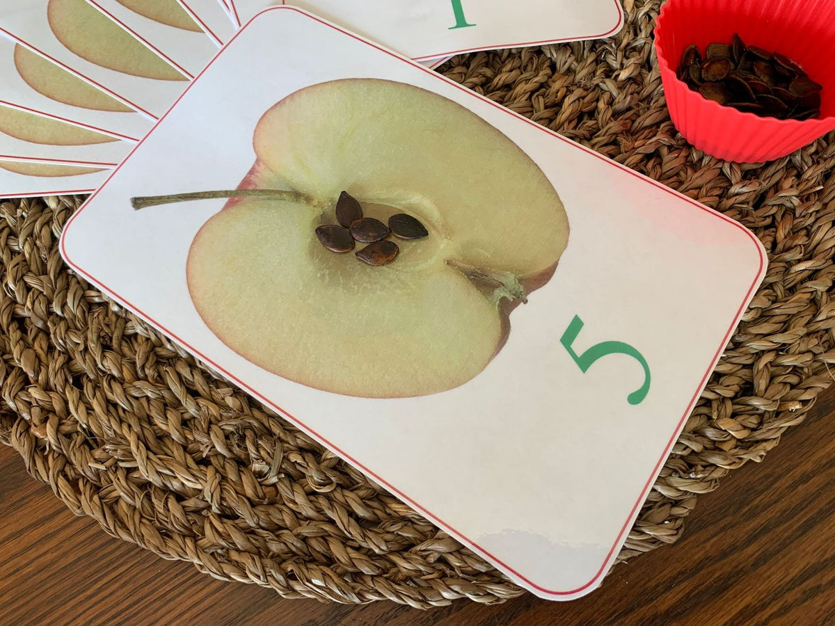 Montessori-Inspired APPLE Seed Counting 1-10 Activity - Hand's On Lear ...