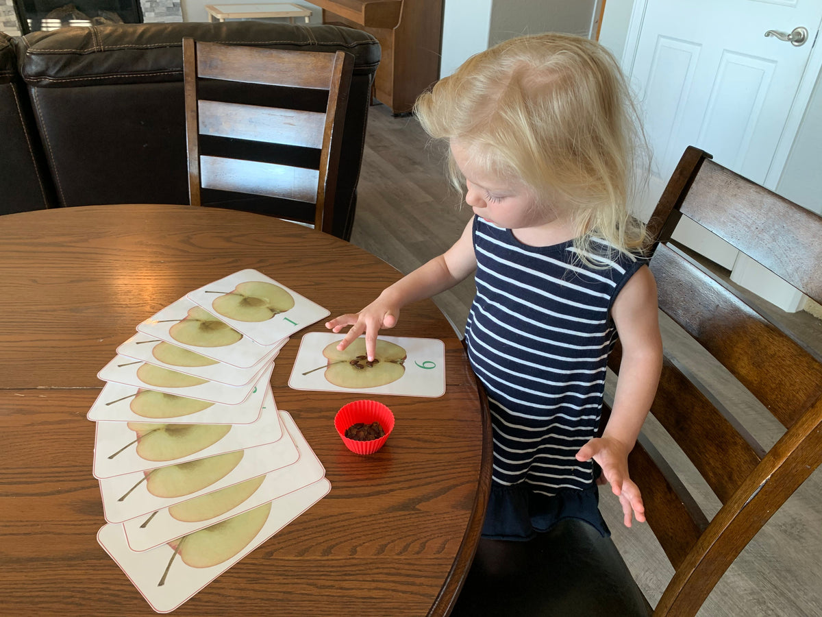 Montessori-Inspired APPLE Seed Counting 1-10 Activity - Hand's On Lear ...