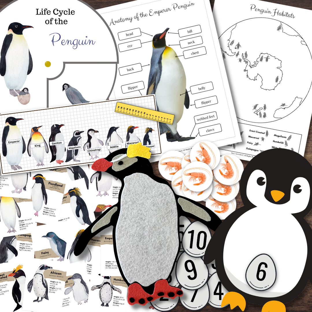 Antarctic PENGUIN Study Flashcards Habitat Measuring Felt Puzzle Count ...