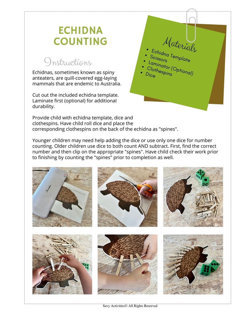 Australia ECHIDNA Counting Clothespins Numbers Preschool Activity ...