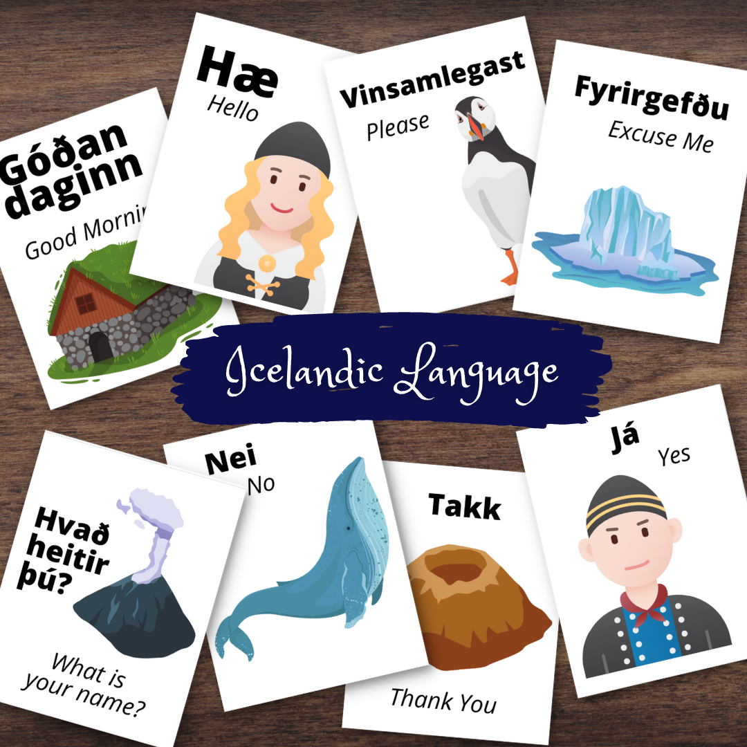 Full Color Icelandic Language Phrase Flashcards Cards Iceland Educatio ...