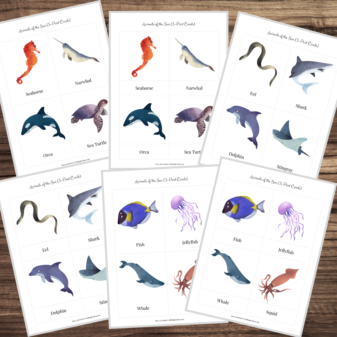 Montessori Inspired Creatures of the Sea 3-Part Cards Sealife – Savy ...