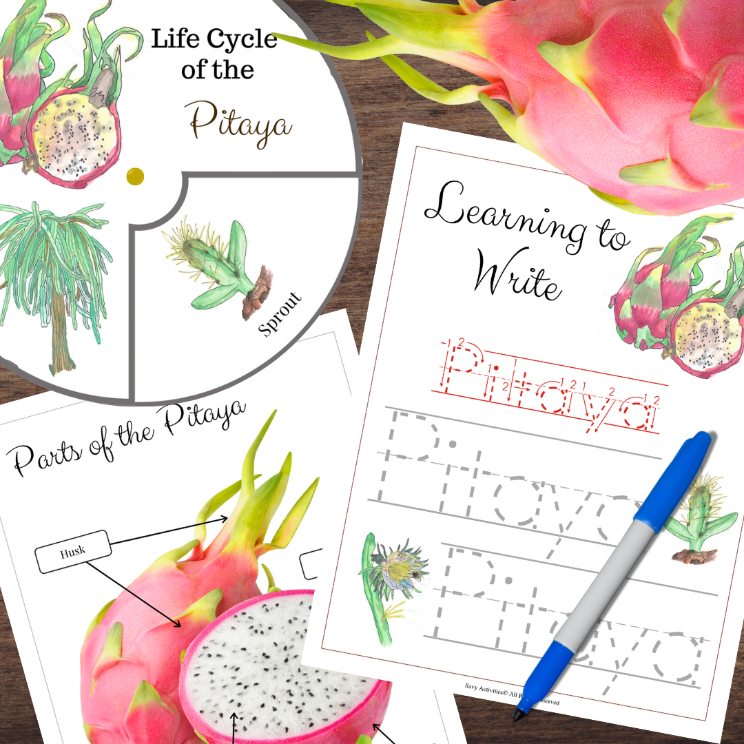 Montessori-Inspired Dragon Fruit PITAYA | Life Cycle, Anatomy & Tracin ...