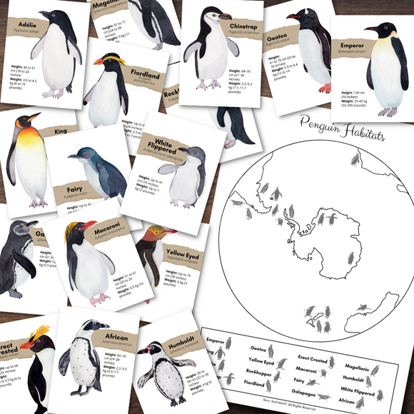 Educational Printables – Tagged "Christmas Vacation" – Savy Activities