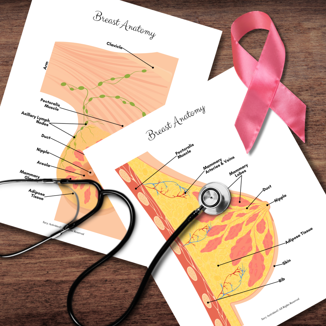 *FREEBIE* Anatomy Human Breast - Full Color Anatomically Correct Label ...