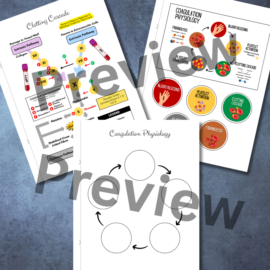 HEMATOLOGY Clotting Cascade Flowchart Poster, Coagulation Physiology M ...