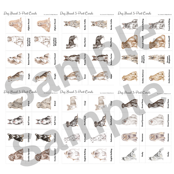 Montessori-Inspired DOG BREEDS Canine Watercolor 3-Part Cards *40 Bree ...