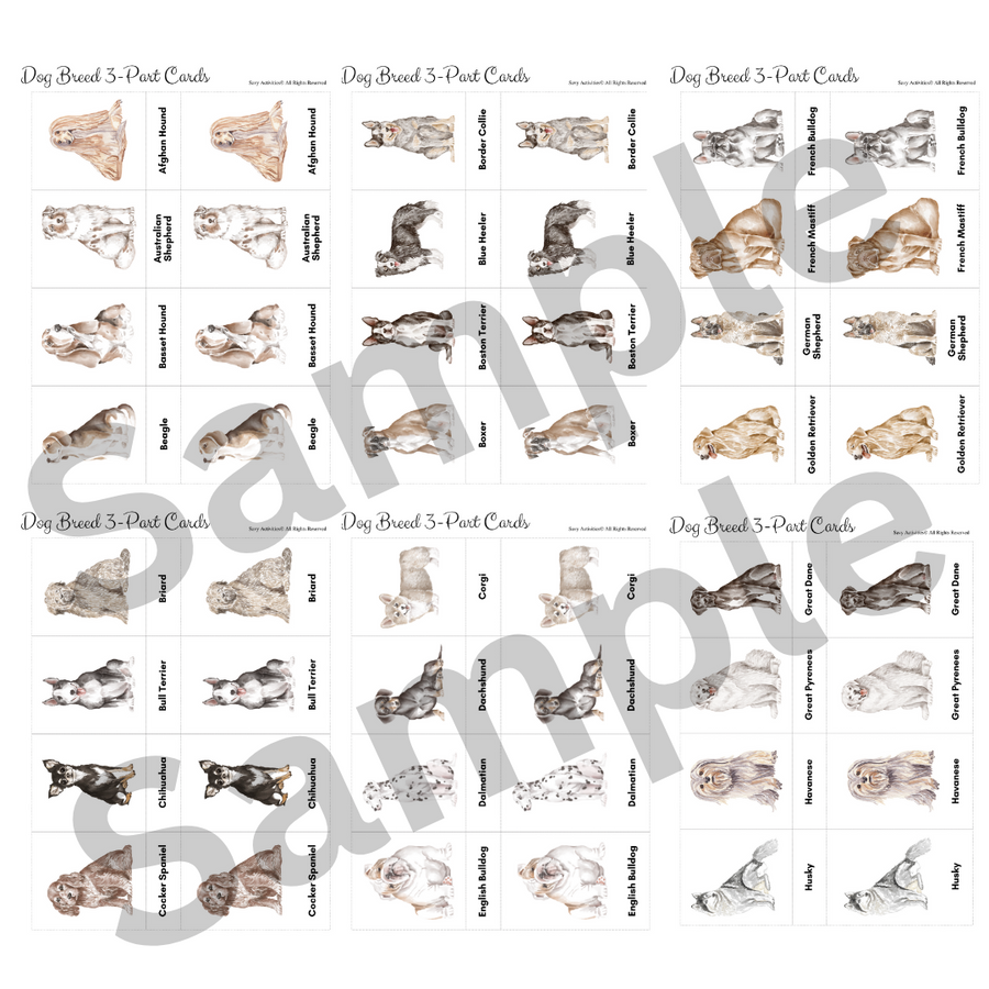 Montessori-Inspired DOG BREEDS Canine Watercolor 3-Part Cards *40 Bree ...