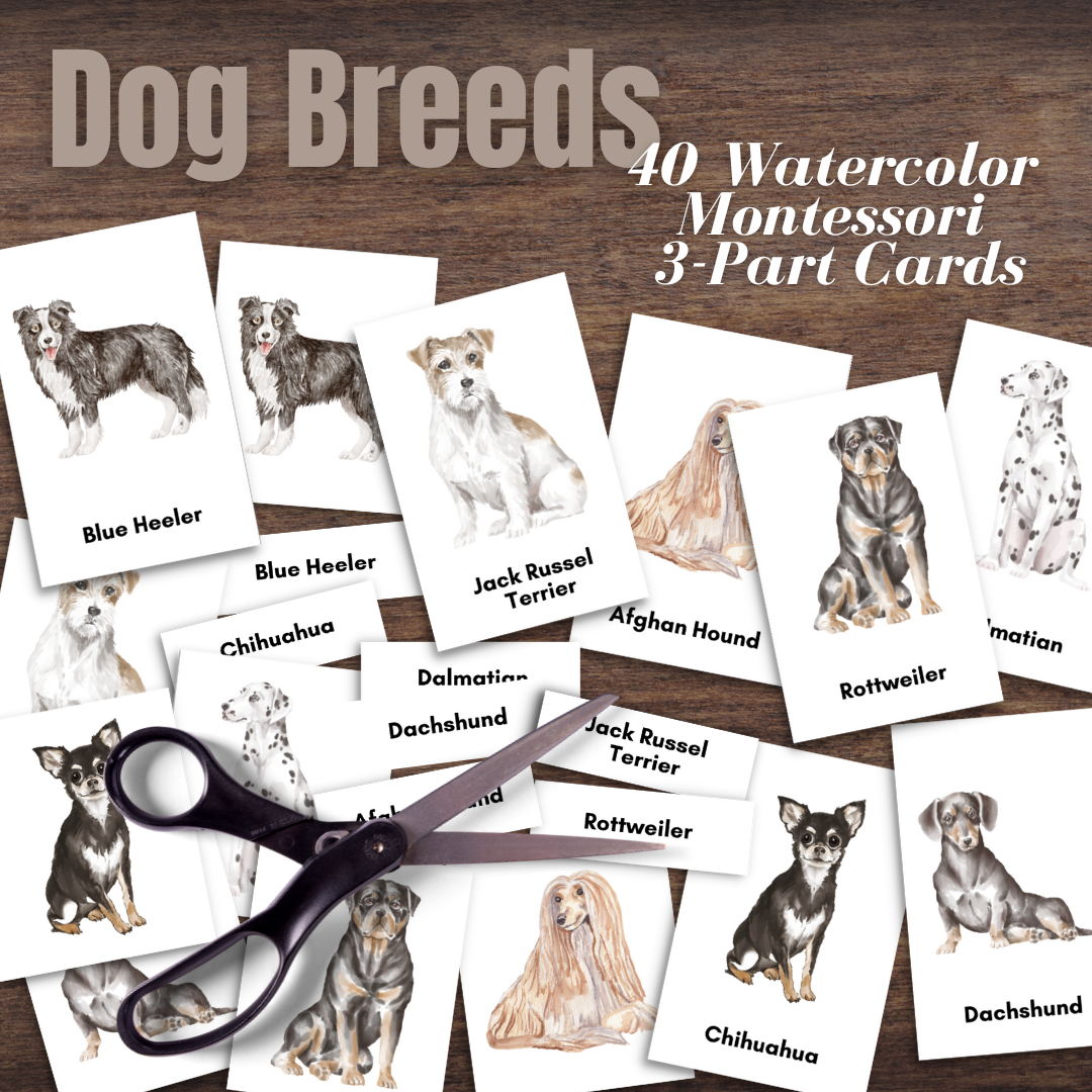 Montessori-Inspired DOG BREEDS Canine Watercolor 3-Part Cards *40 Bree ...