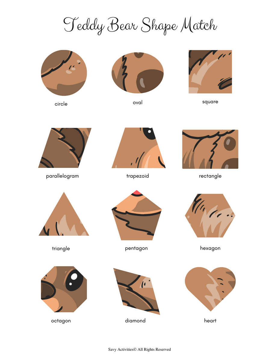 Teddy Bear Shape Match Puzzle - Learn Major Shapes! – Savy Activities