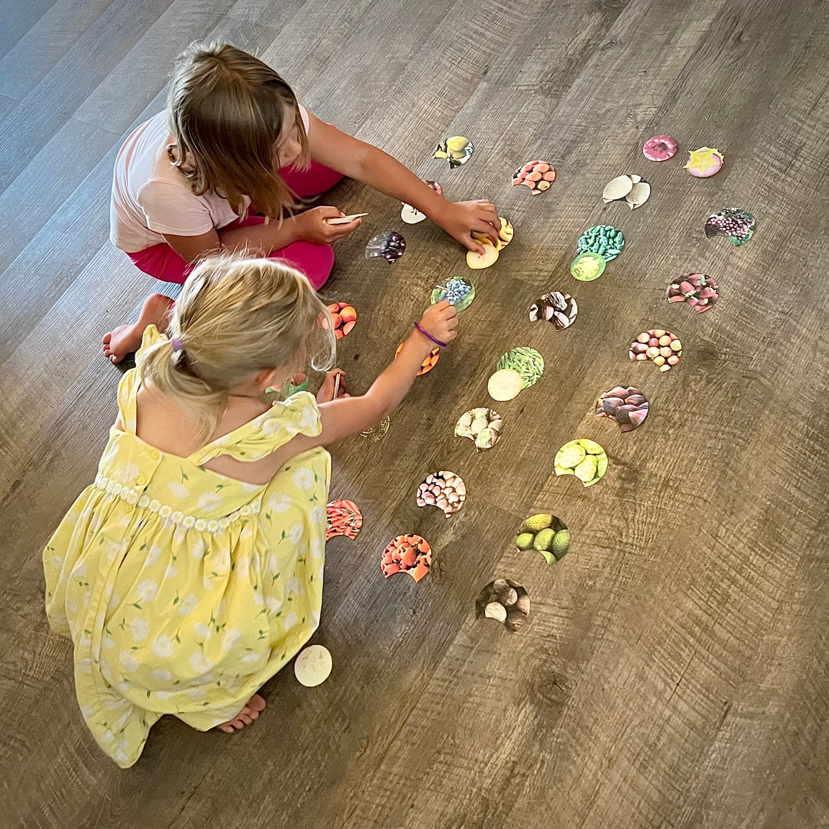 Fruit & Vegetable CROSS-SECTION Produce Match - FULL COLOR Images ...