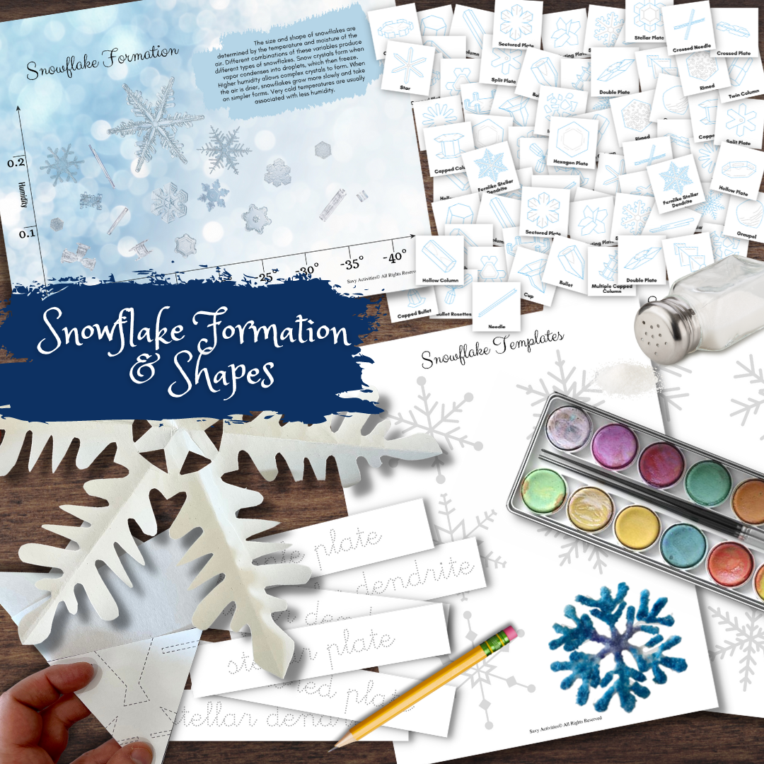 Snowflake Formation Designs Poster Matching Labeling Craft Bundle ...