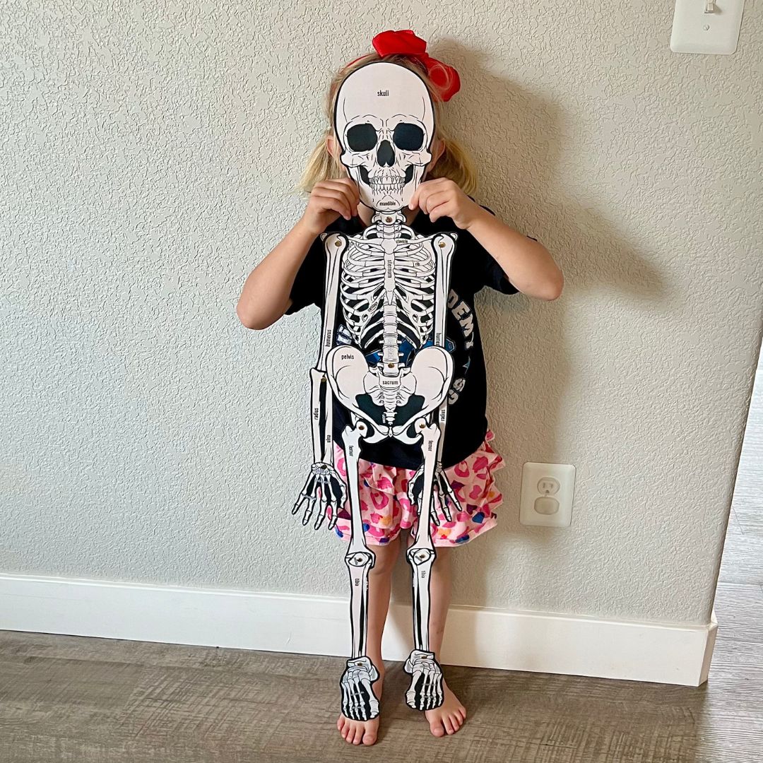 FULL SIZE (Child) Cut-Out Connectable Anatomy Skeleton w/ Bone Names ...
