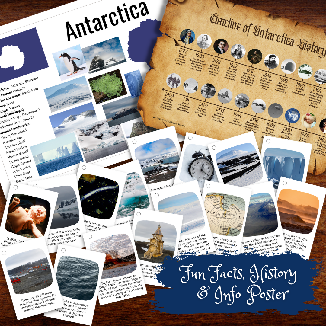 ANTARCTICA South Pole Polar Poster Fun Fact Cards History Timeline ...