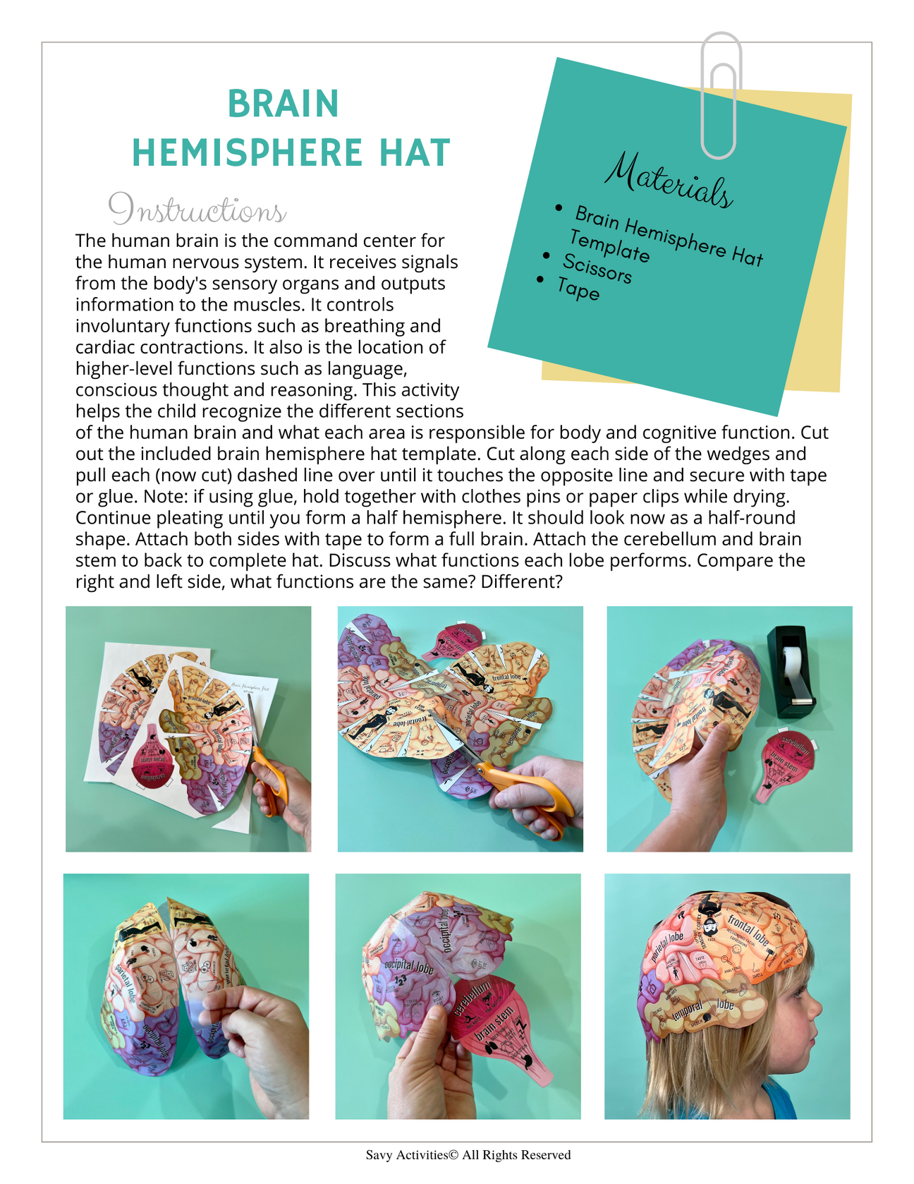 HUMAN BRAIN - Foldable Anatomically Correct Paper Hat w/Lobes & Functi ...