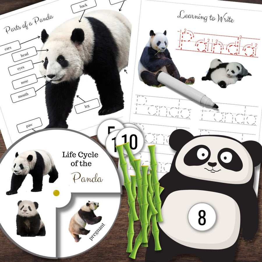 Montessori-Inspired Panda Life Cycle, Anatomy, Tracing & Counting Acti ...