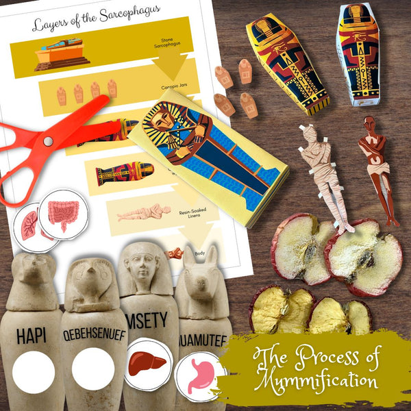 Ancient EGYPT 3D Sarcophagus Layers Craft Mummification Canopic Jars M ...