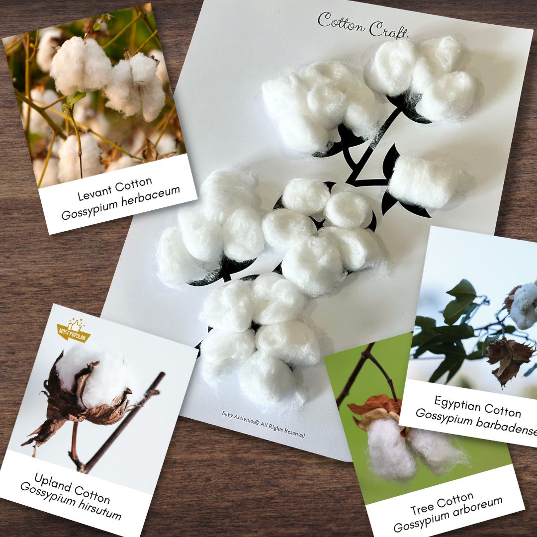 Educational Printables – Tagged "egypt" – Savy Activities
