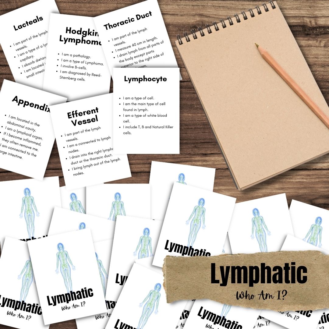 LYMPHATIC System Anatomy & Physiology Card Game Who Am I? - 36 Cards ...